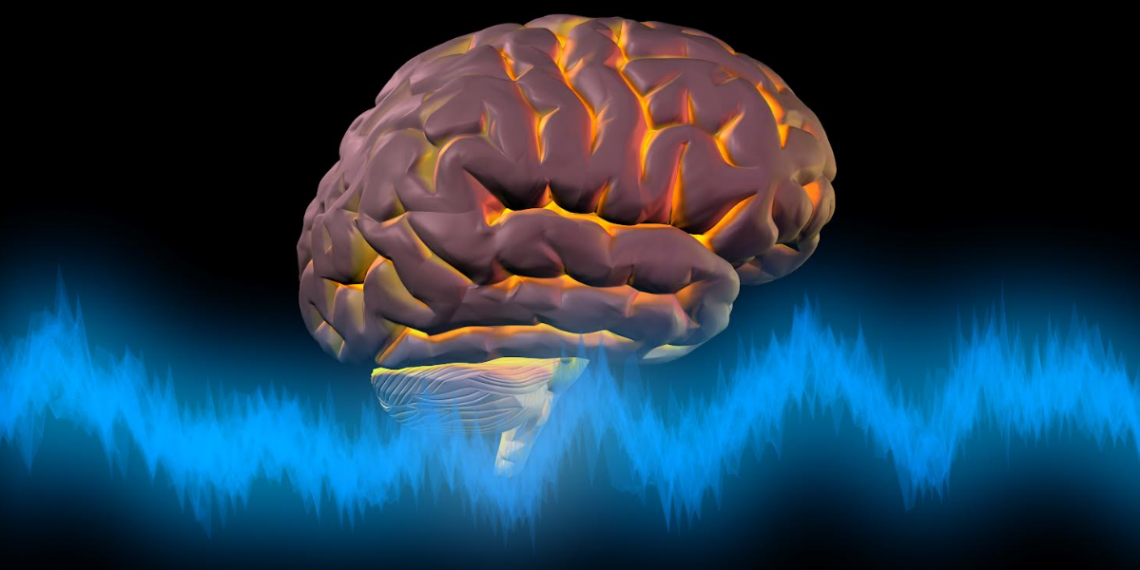 Neuroplasticity and Meditation - The Brain Health Magazine